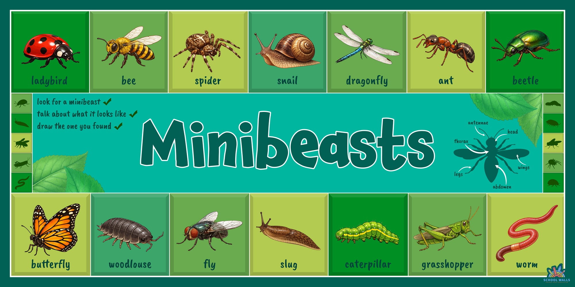 Minibeasts Learning Board for EYFS, KS1 and KS2 – School Walls
